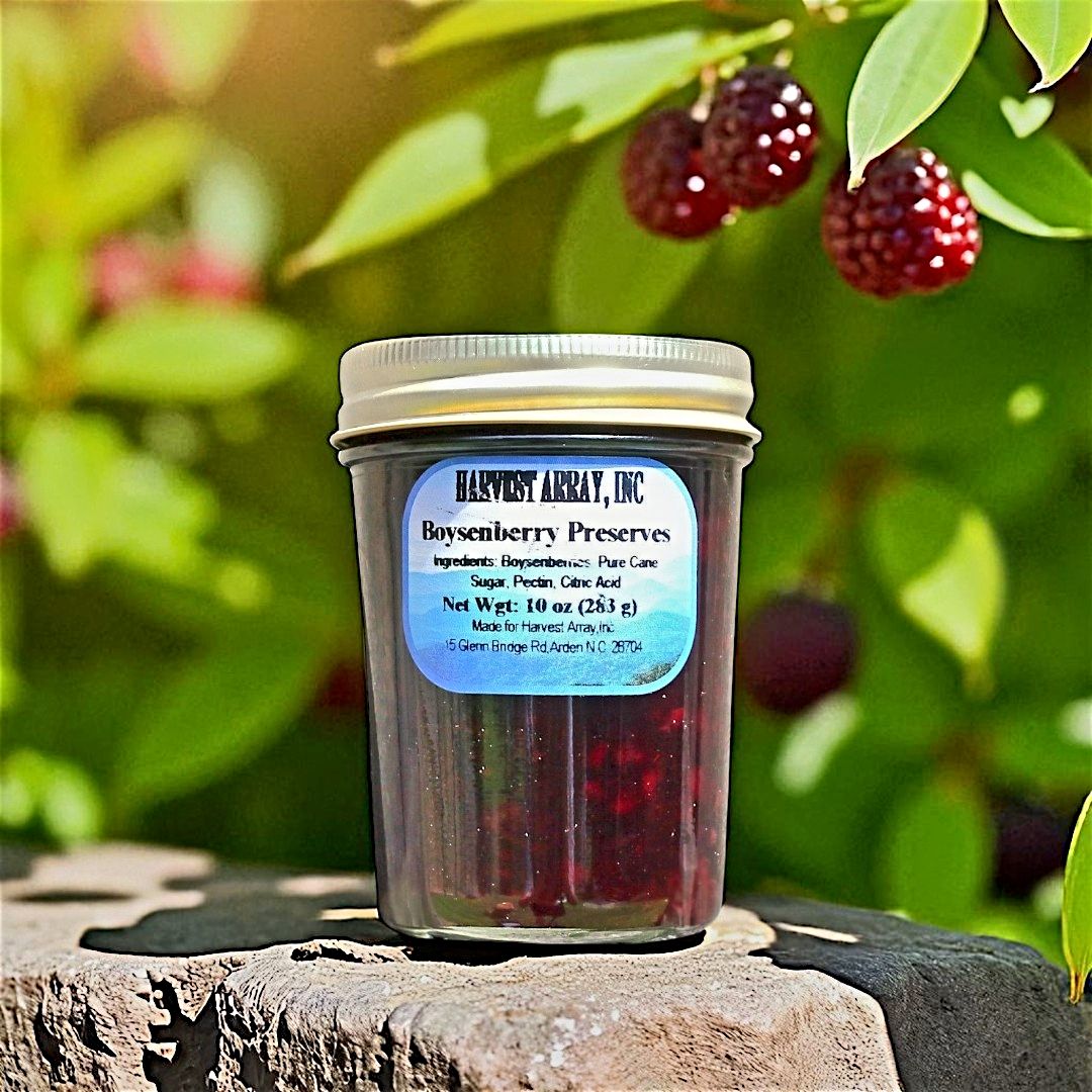 Blue Ridge Jams Boysenberry Preserves – Harvest Array